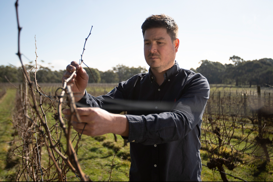 Wine – The Real Review