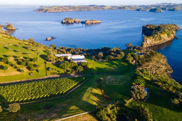BoulderBayWines Moturoa Island Aerial Harbour – The Real Review