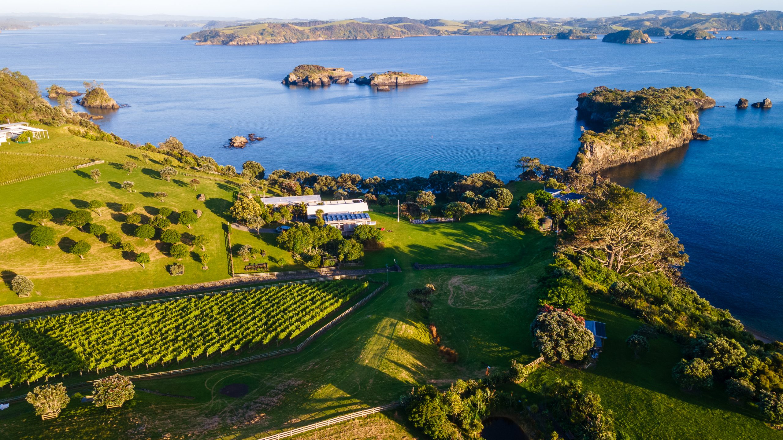 BoulderBayWines Moturoa Island Aerial Harbour – The Real Review