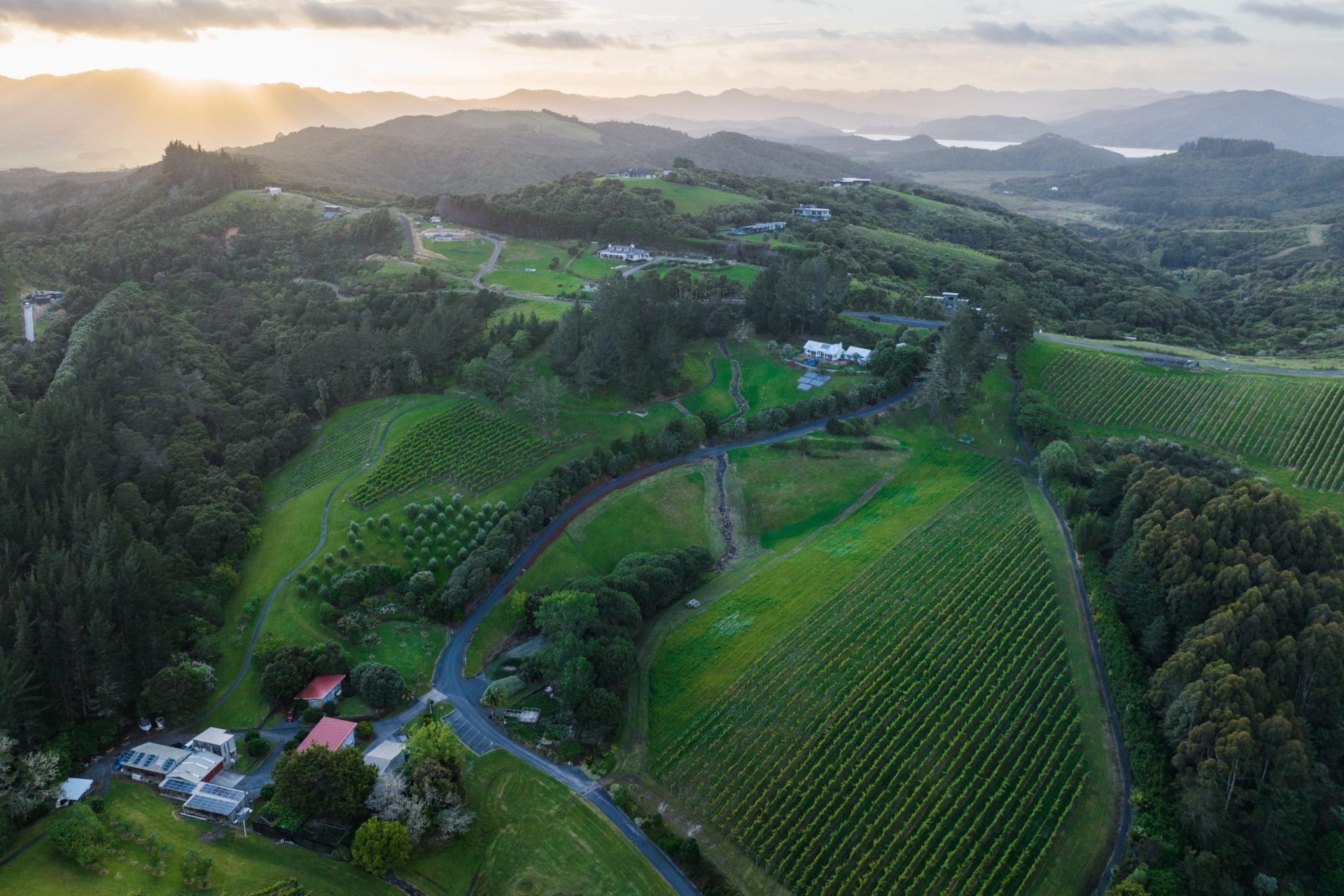 Paroa Bay – The Real Review