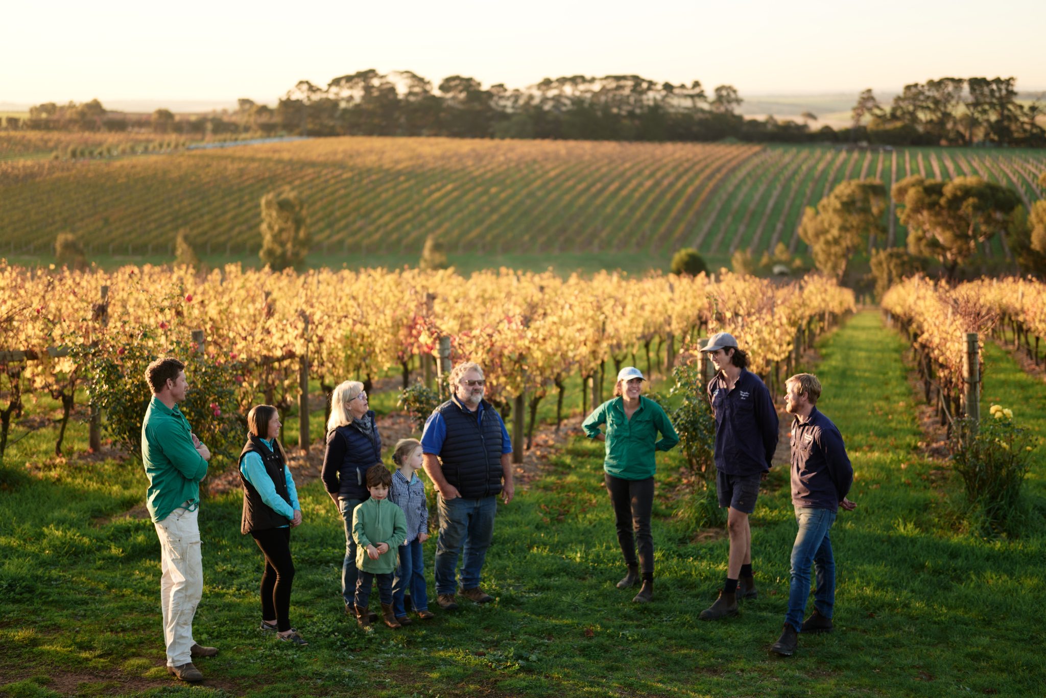 Top Wineries of Australia 2024:Wine by Farr – The Real Review