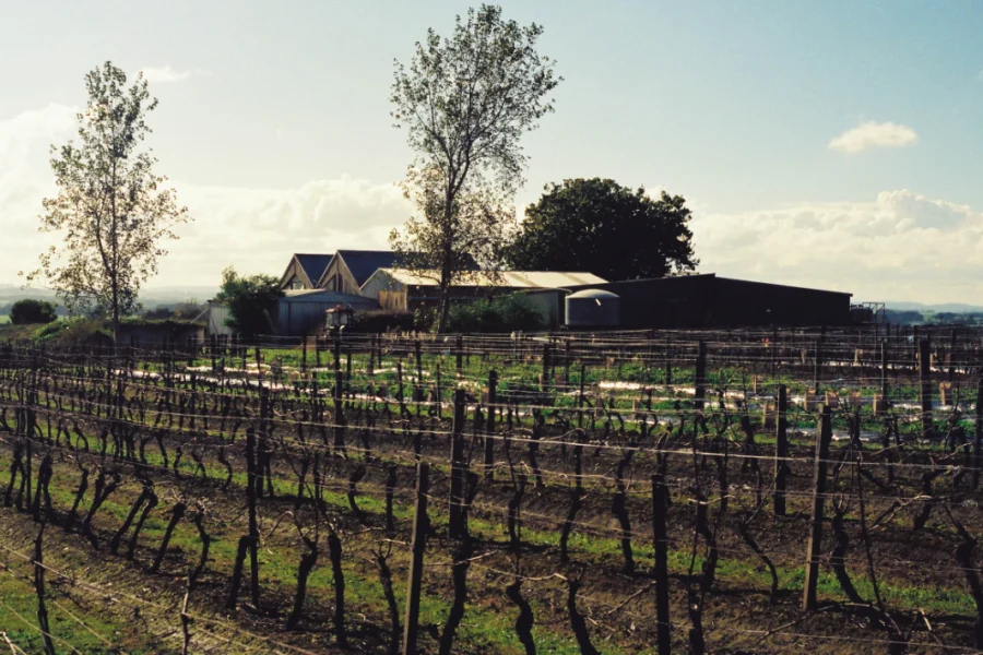 Top Wineries of Australia 2024: 11 to 16 – The Real Review