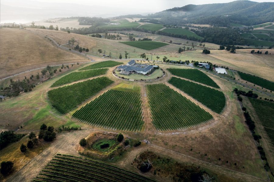 Top Wineries of Australia 2024:Levantine Hill – The Real Review
