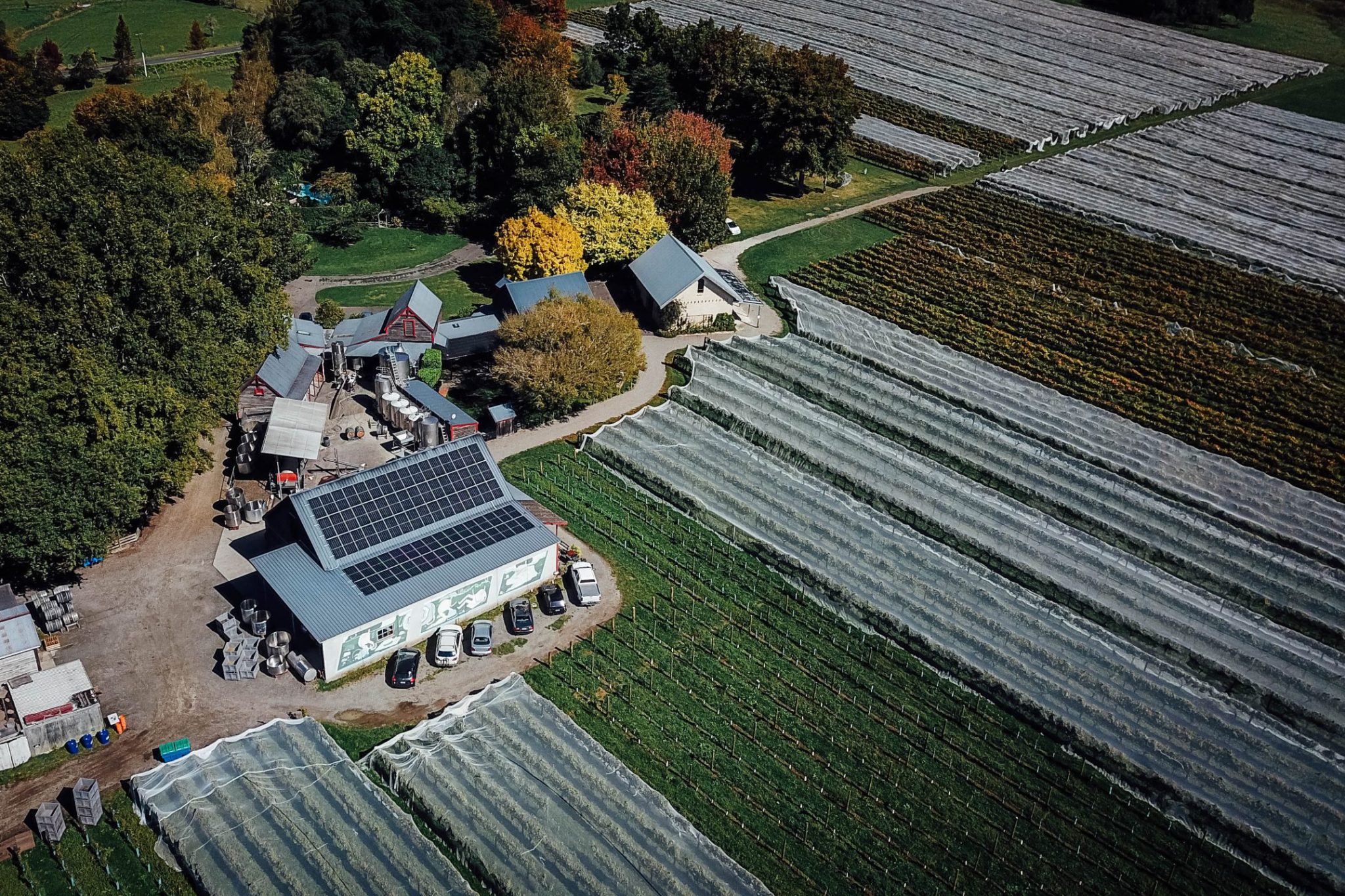 Top Wineries of New Zealand 2024:Neudorf – The Real Review