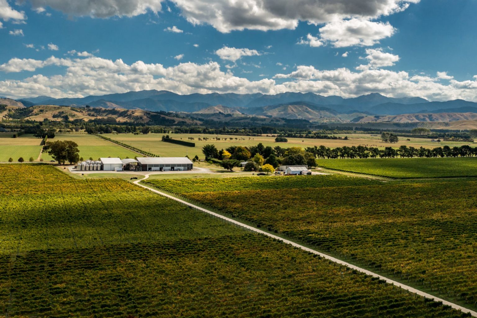 Top Wineries of New Zealand 2024:Matahiwi – The Real Review