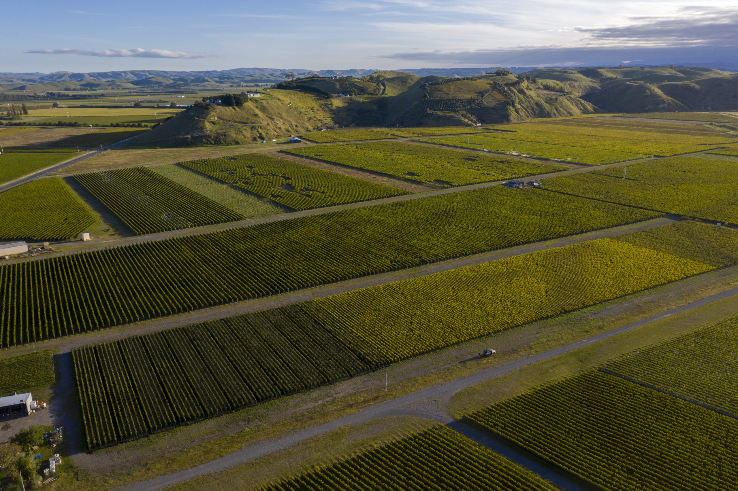 Smith & Sheth_Gimblett Gravels and Omahu Vineyard – The Real Review