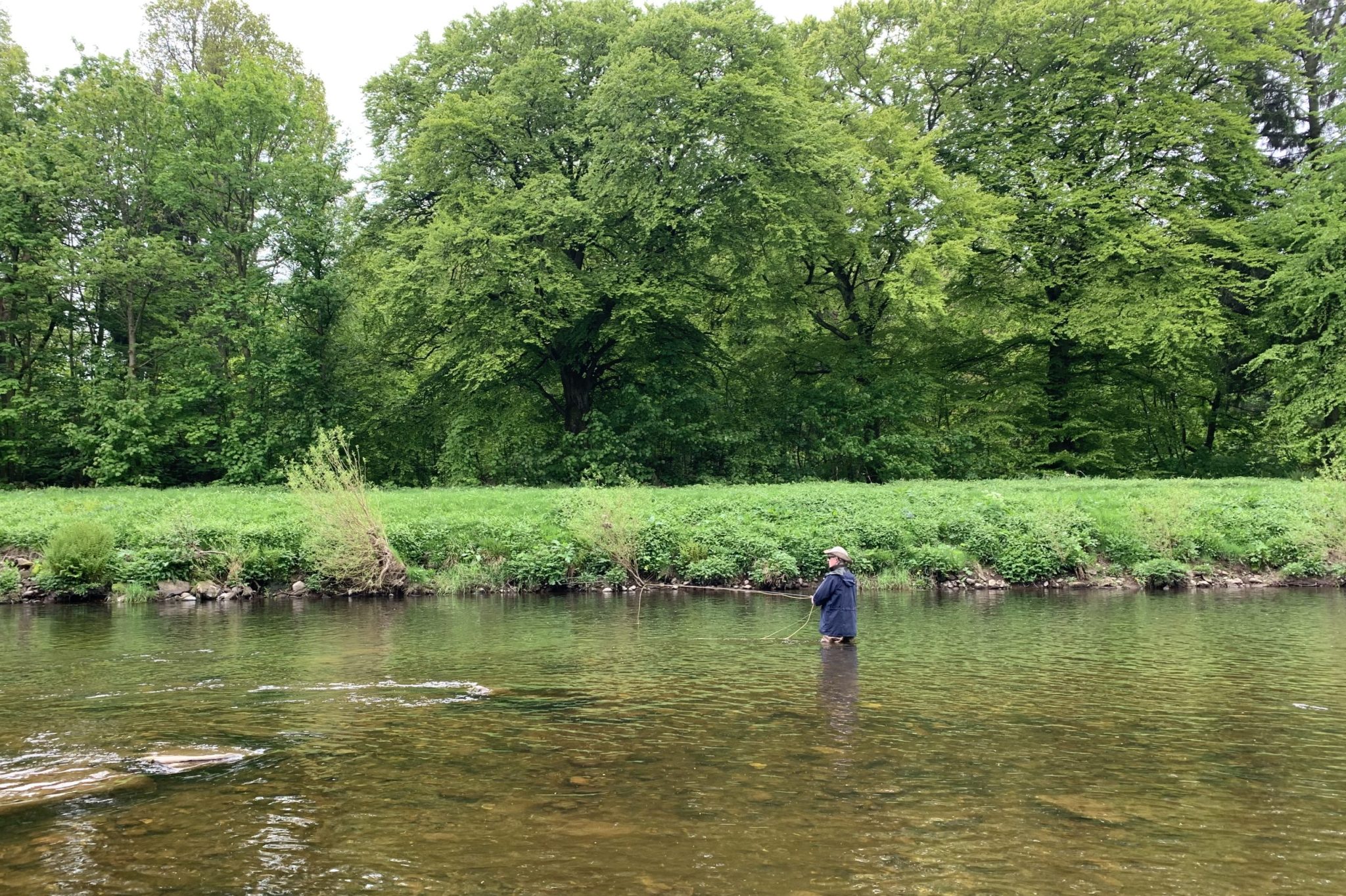 The meditative effect of fishing – The Real Review