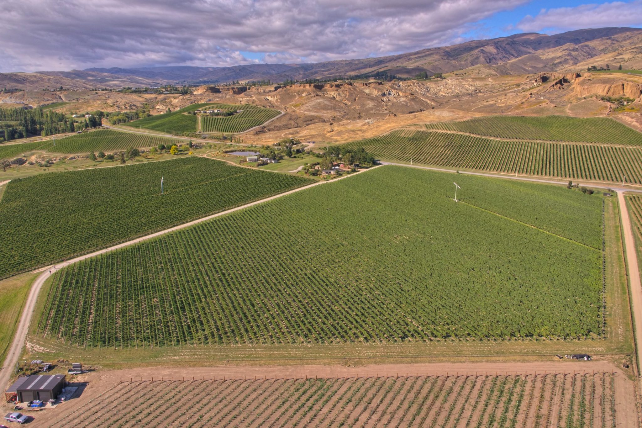 Top Wineries of New Zealand 2025:Felton Road – The Real Review