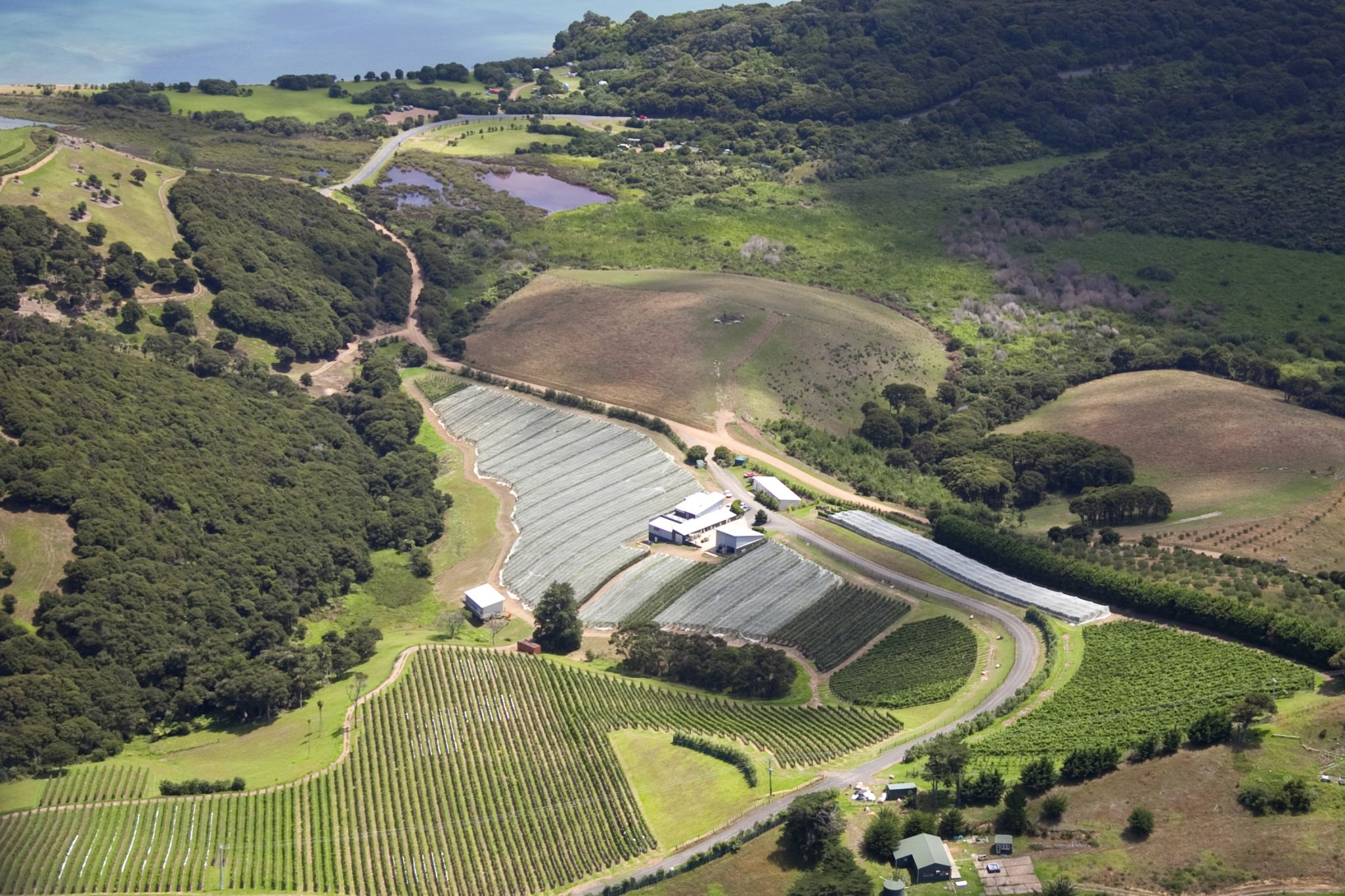 Top Wineries of New Zealand 2025:Destiny Bay – The Real Review