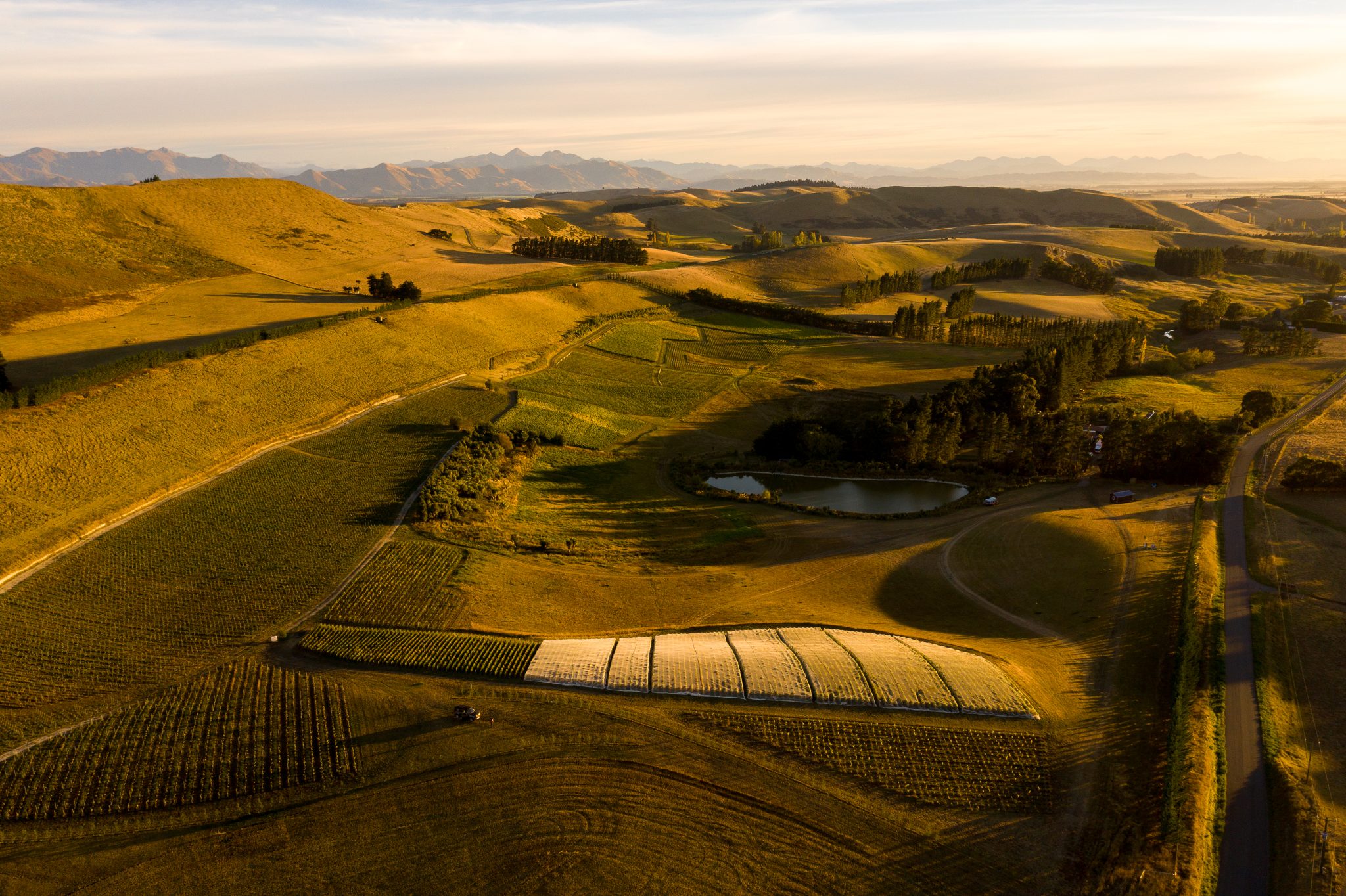 Top Wineries of New Zealand 2025:Pyramid Valley Vineyards – The Real Review