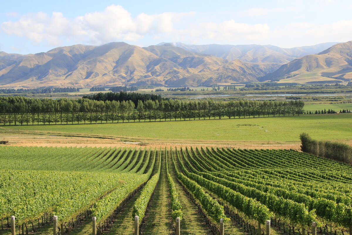 Introduction to the Waitaki Valley – The Real Review
