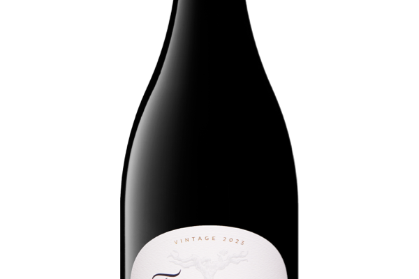 Terrific Teusner – The Real Review