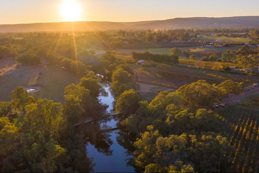 The historic Swan Valley – The Real Review
