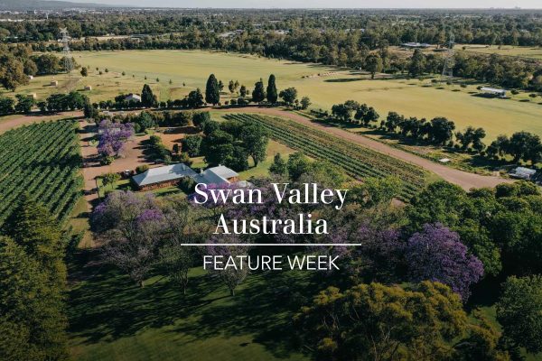 Introduction to the Swan Valley – The Real Review