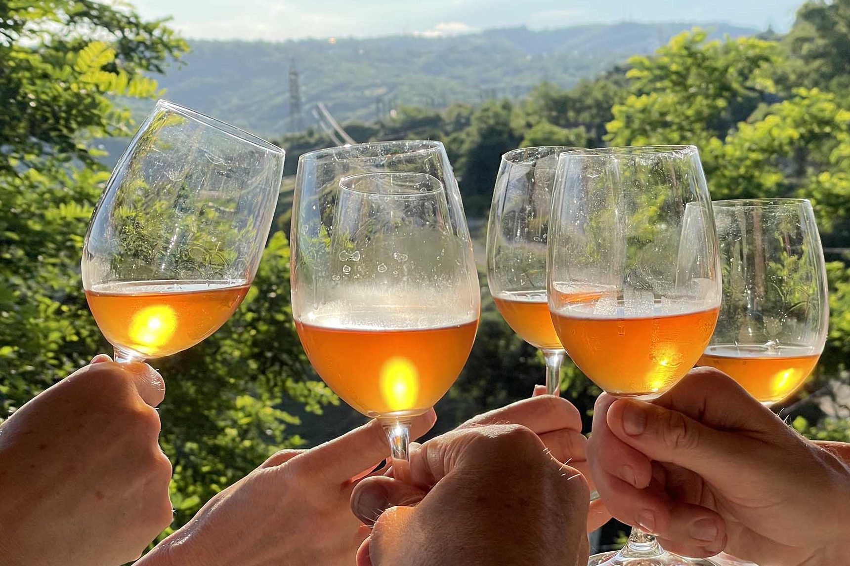 Wine – The Real Review