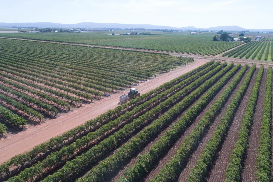 Introduction to the Riverina – The Real Review