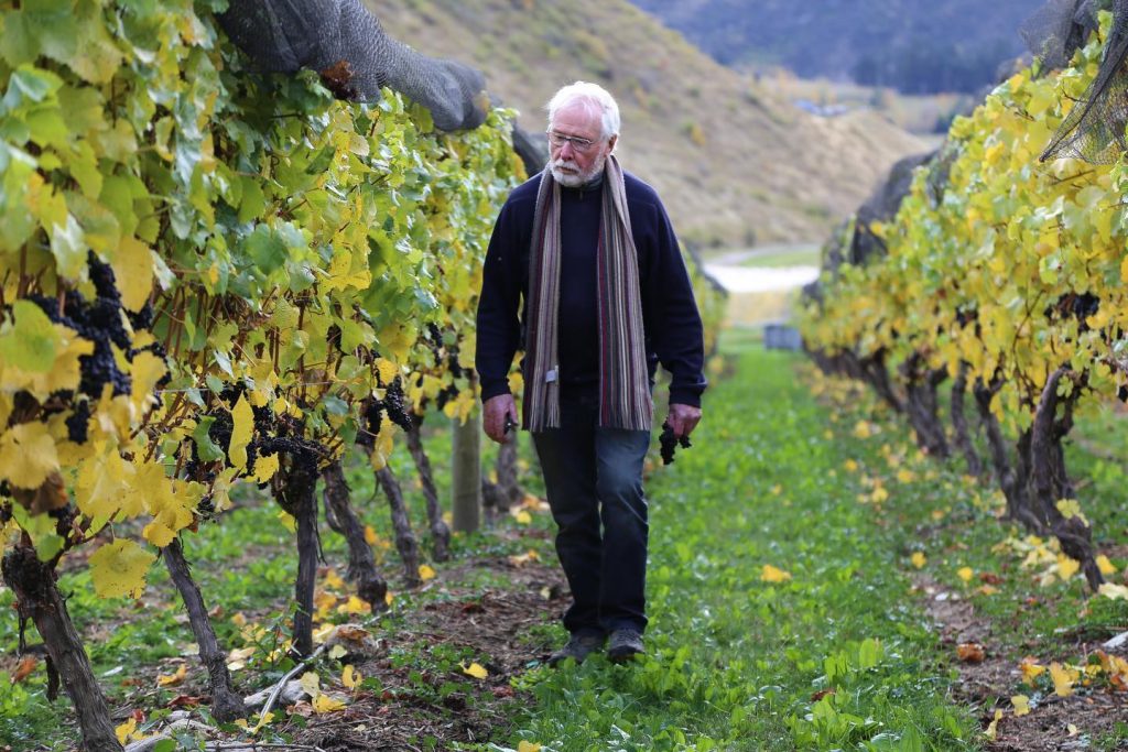 Top Wineries of New Zealand 2025:Wild Irishman – The Real Review