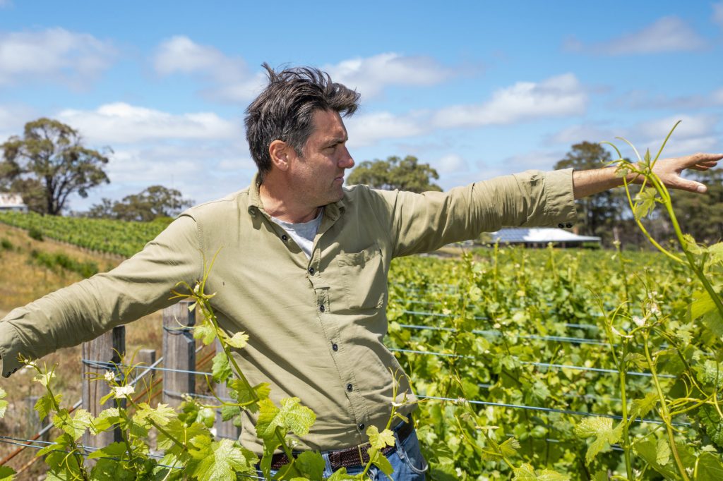Australian Wines, Vigneron and Rising Star of the Year finalists ...