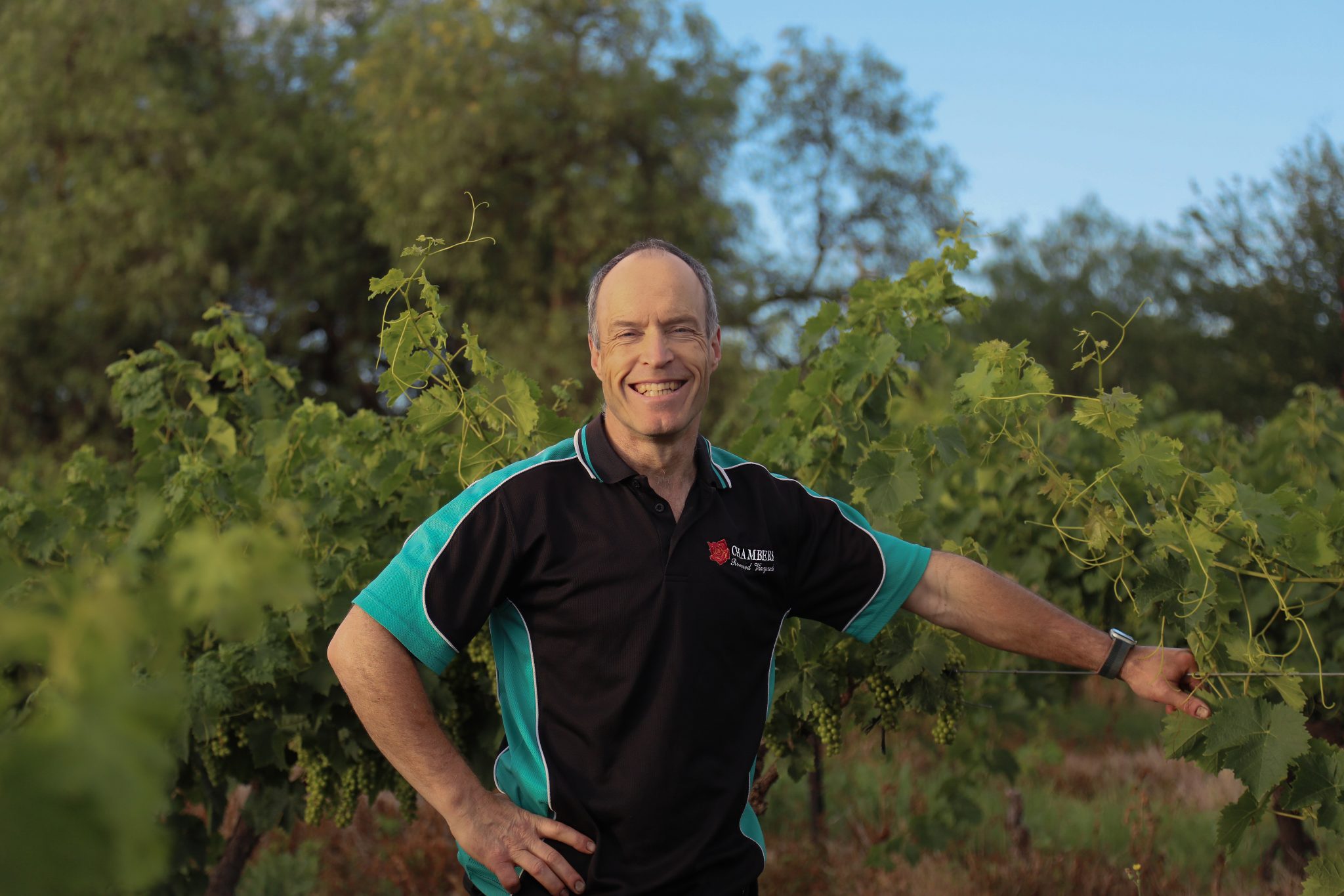 Top sweet and fortified wines of Australia – The Real Review