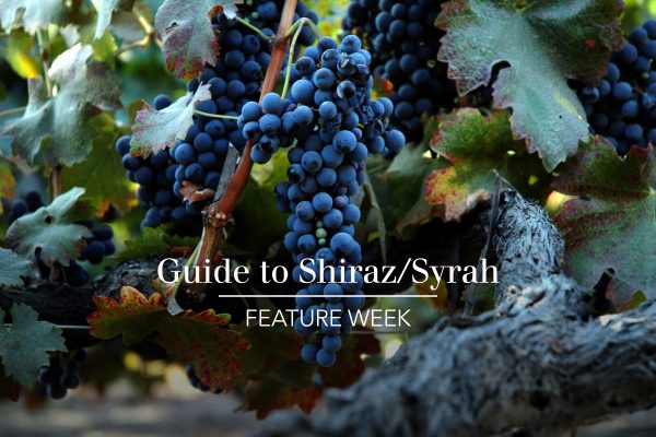 Syrah vs shiraz: what’s the difference? – The Real Review