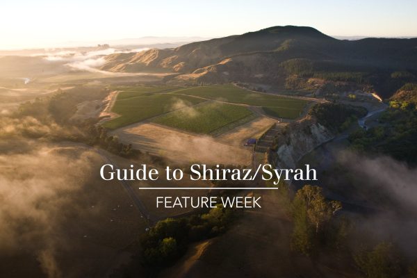 Exploring New Zealand’s best known syrah regions – The Real Review