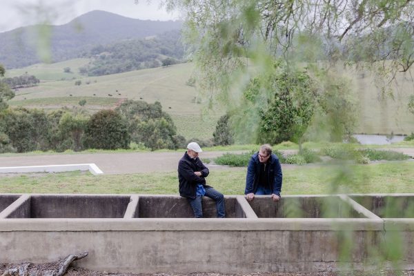 Riggs & Wiggs release new swiggs – The Real Review