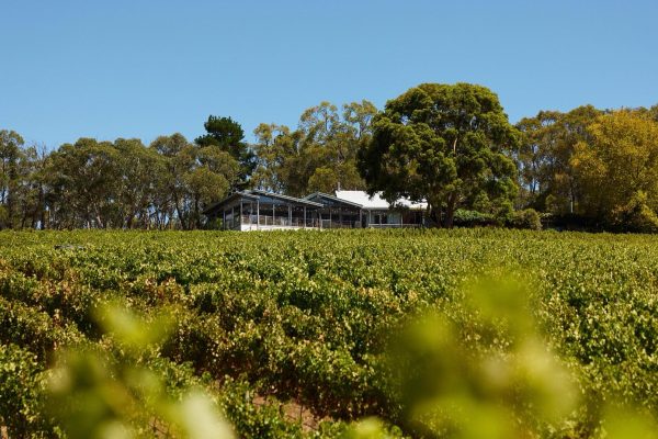 Lofty heights for Mount Lofty Ranges Vineyard – The Real Review
