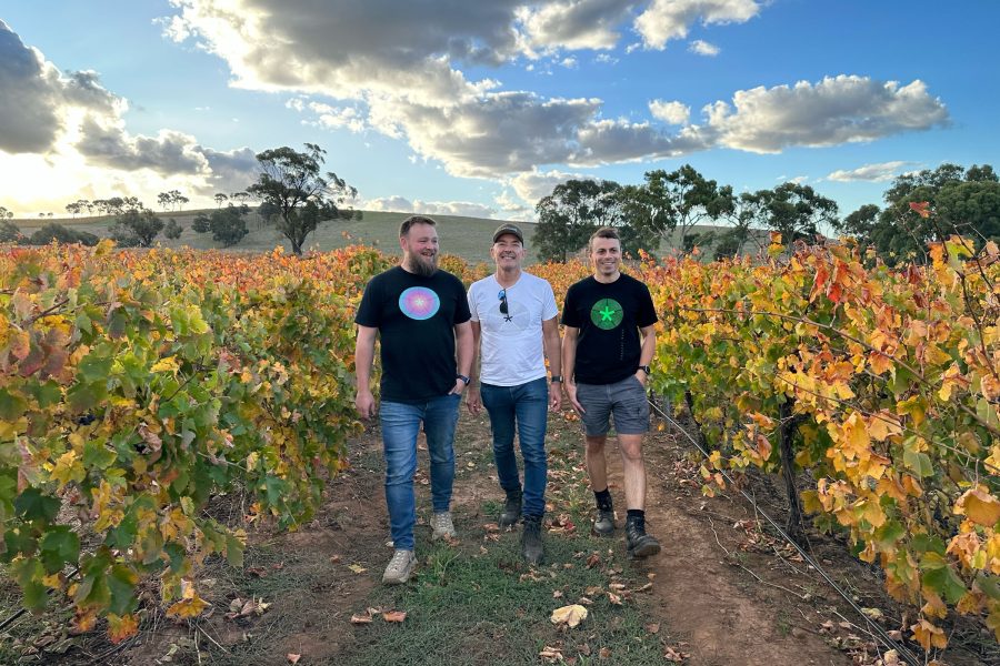 Rosé Wine of the Year Australia: Chaffey Bros Wine Co. Not Your Grandma ...