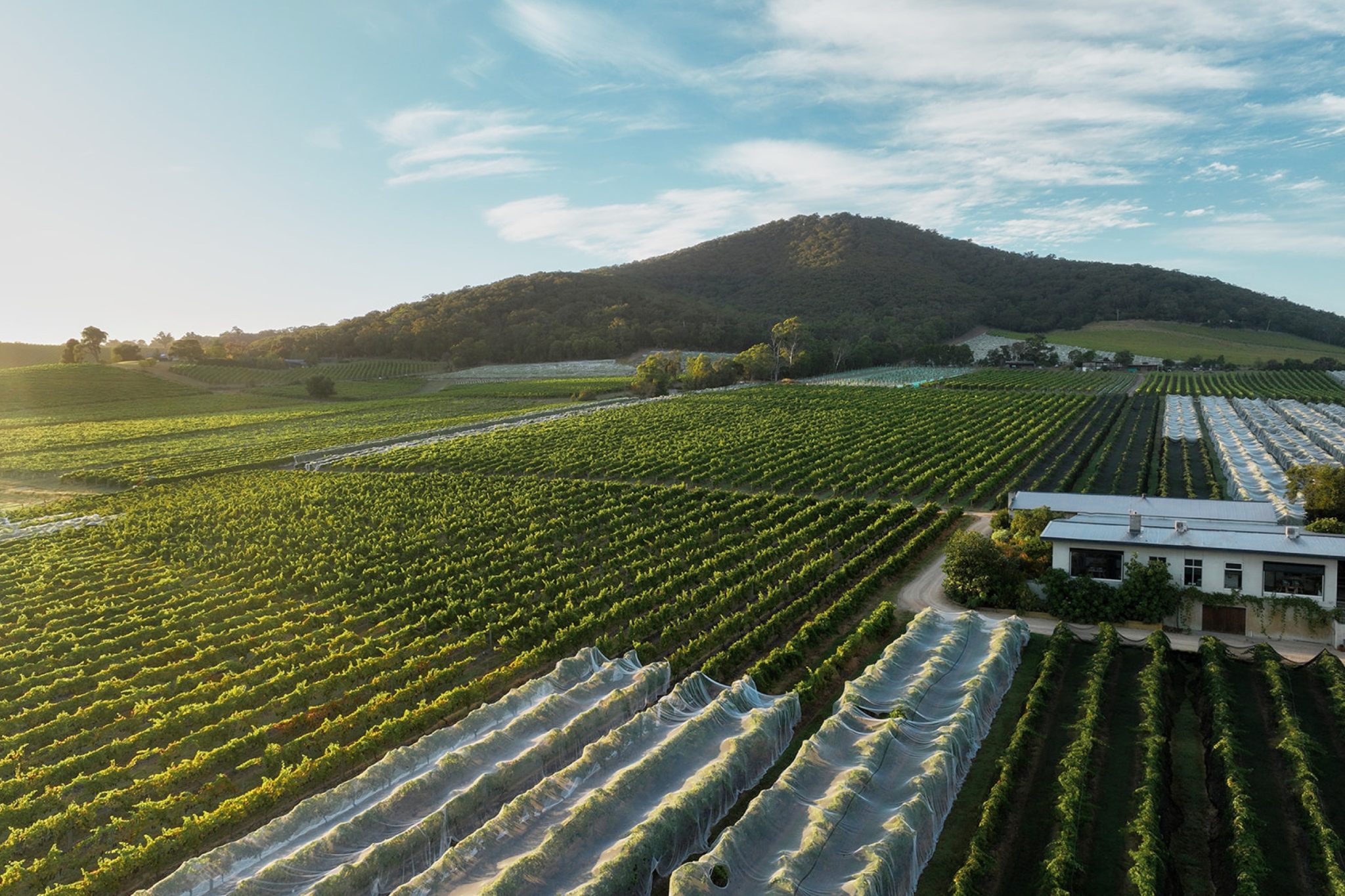 Top Wineries of Australia 2026 and award winners released – The Real Review