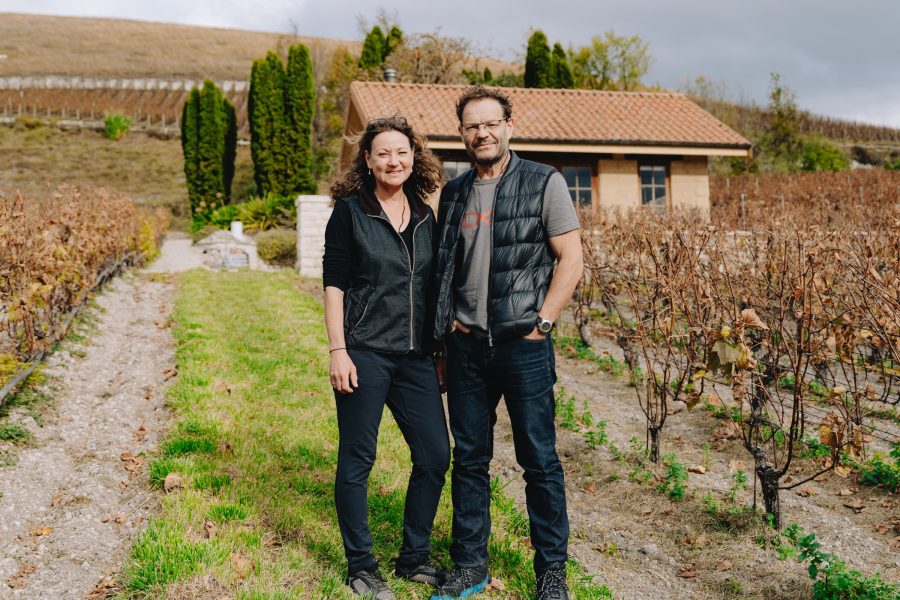 Top Wineries of New Zealand 2026 and award winners released – The Real ...